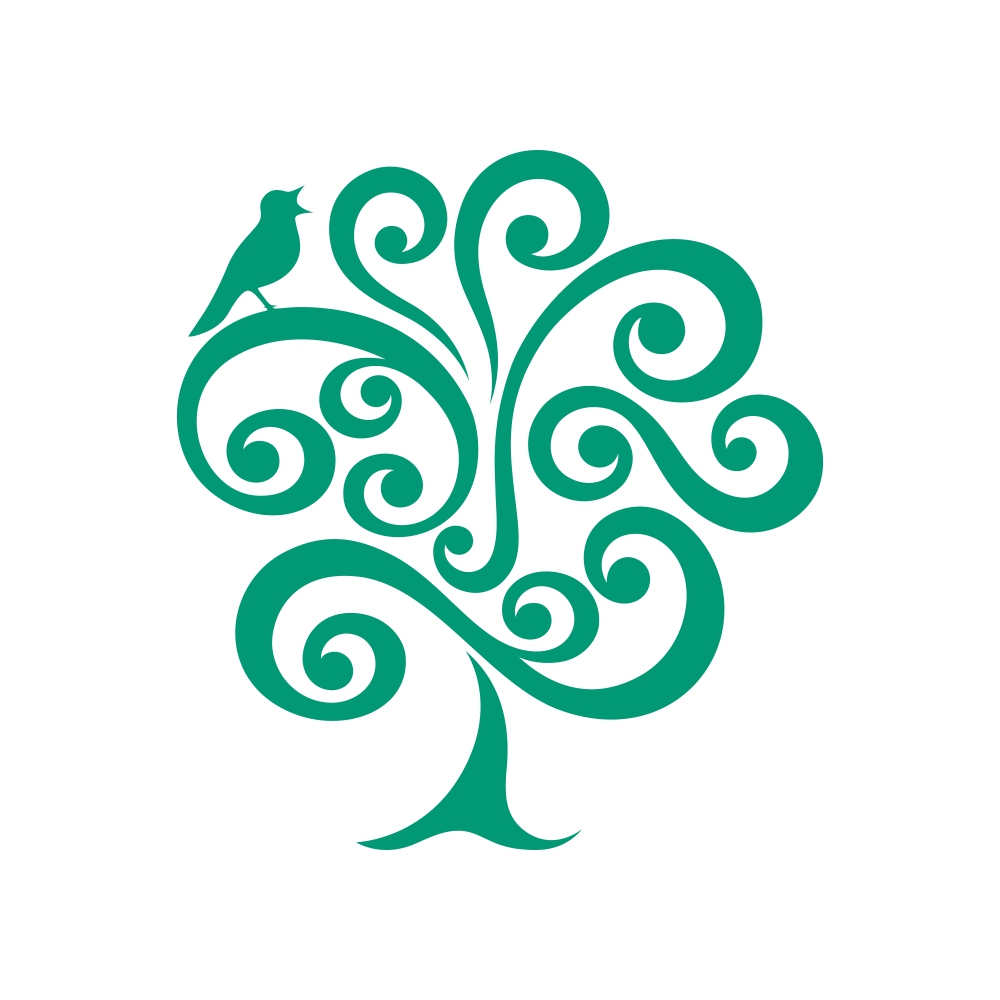 Sipoly műtét - Budai Egészségközpont